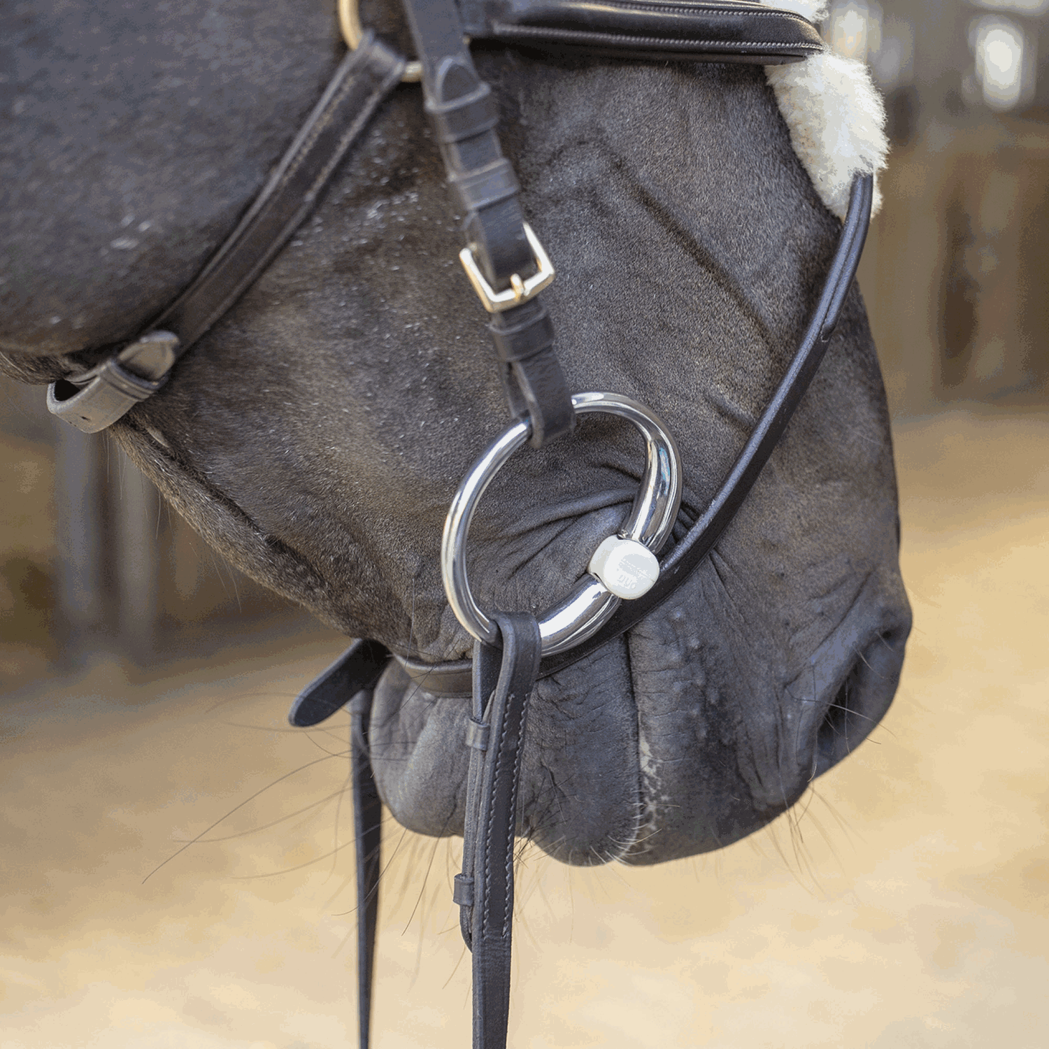 Herm Sprenger Duo Bit | Herm Sprenger USA