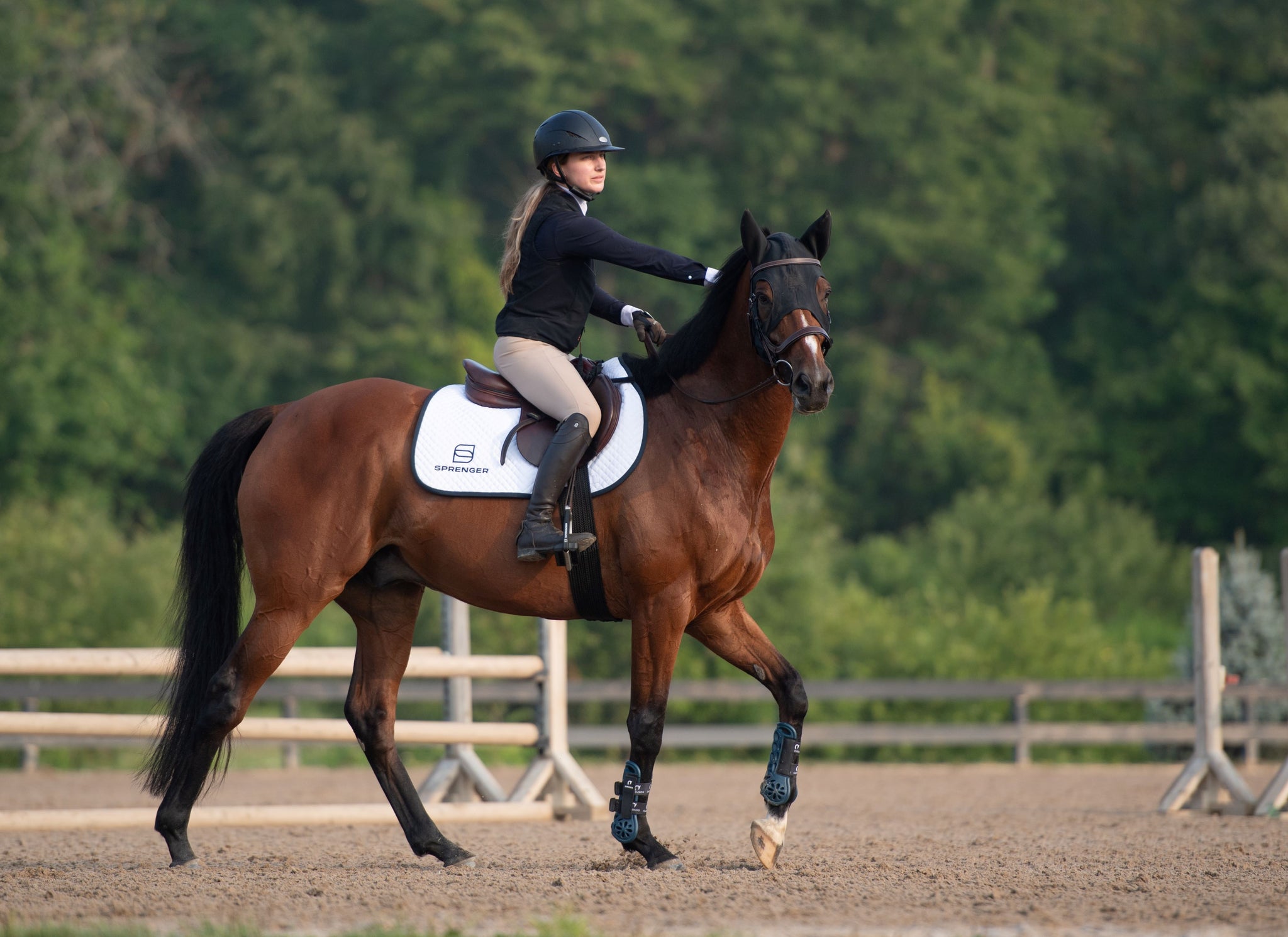 The Show Jumper + Eventer Collection