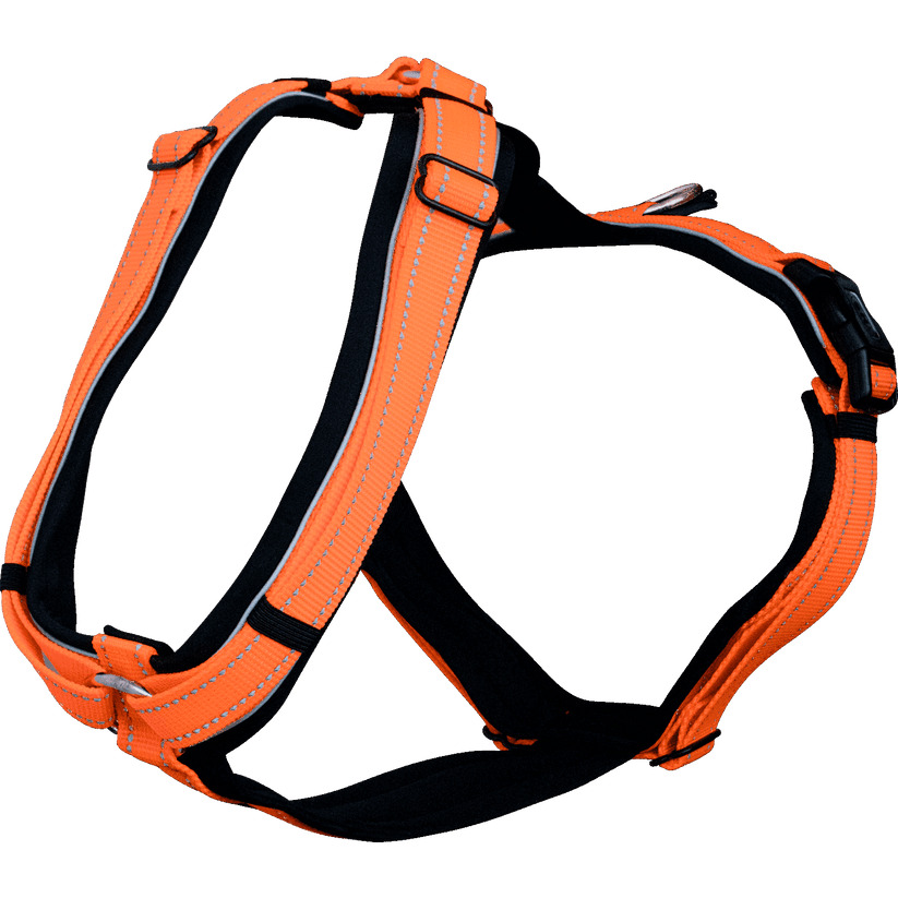 Reflective Y-Harness